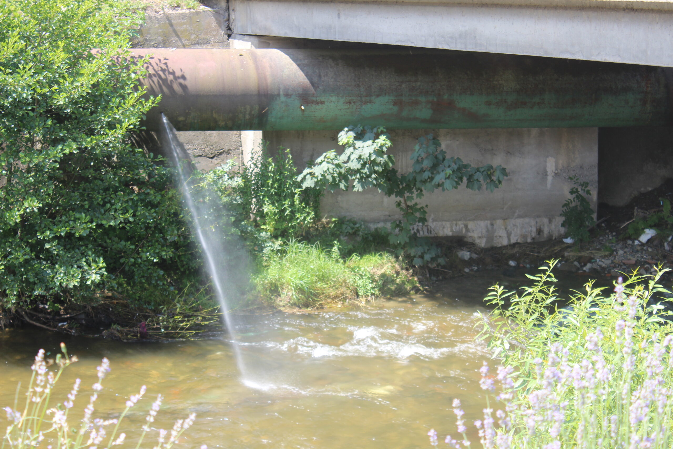 conducta apa sparta avarie – Ziarul Mesagerul de Sibiu