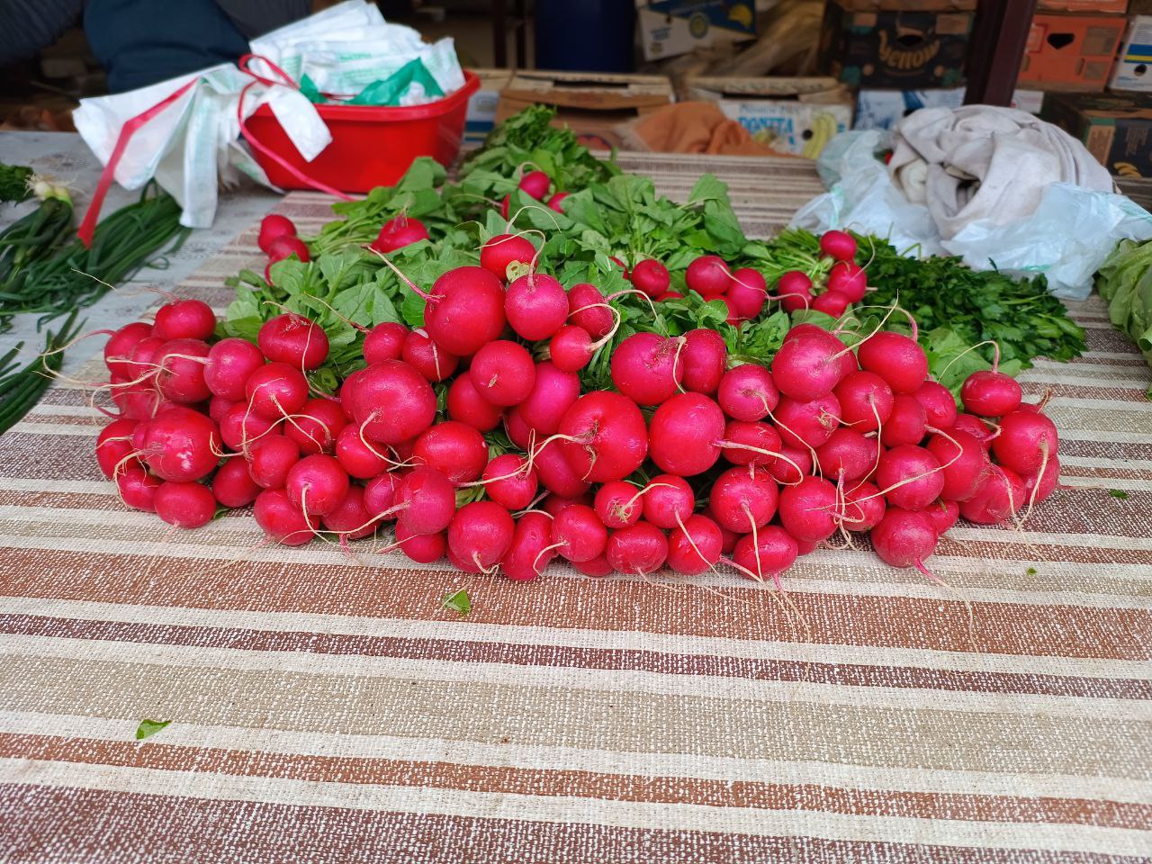 ridichi taraba legume – Ziarul Mesagerul de Sibiu